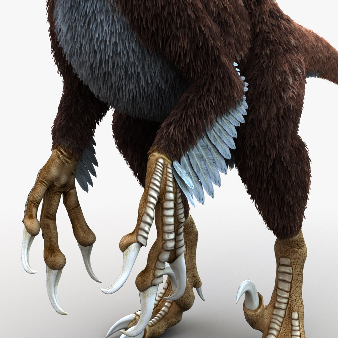 3d dromaeosaurus model