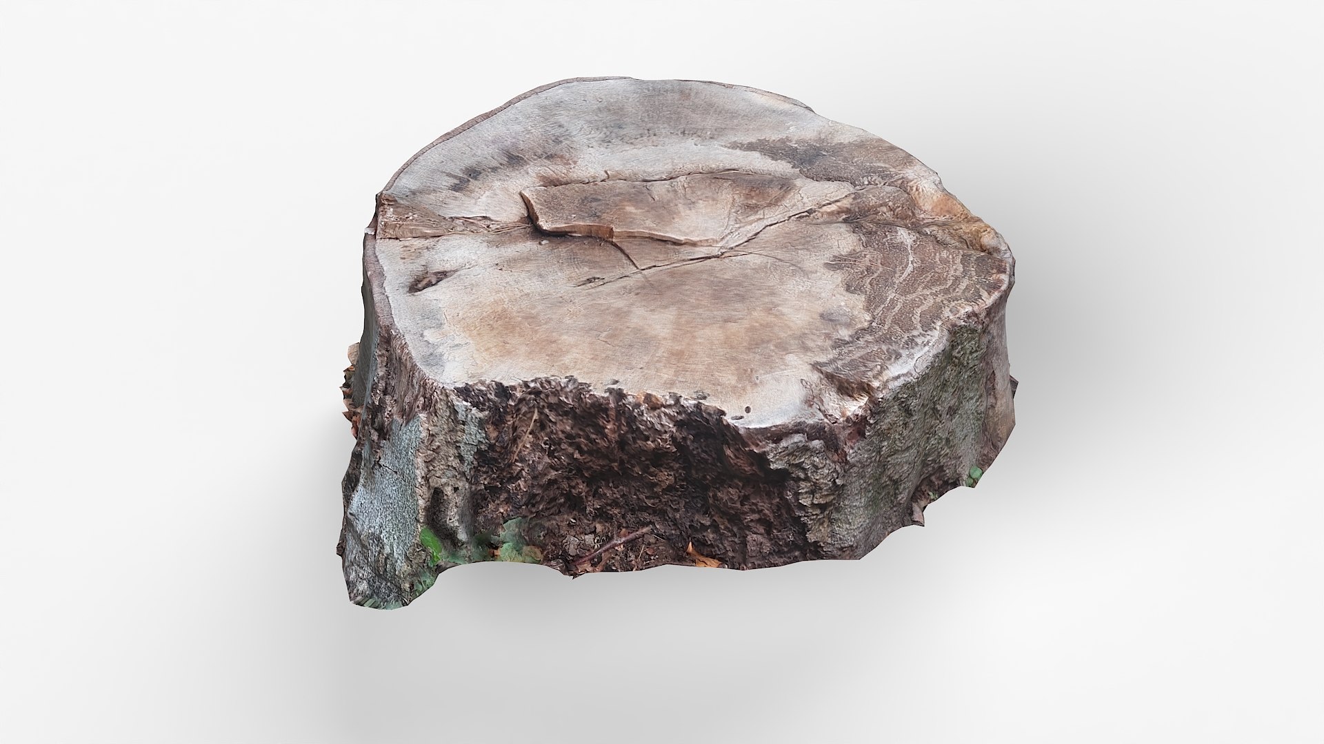 Tree Stump 31 3D Model - TurboSquid 2138153