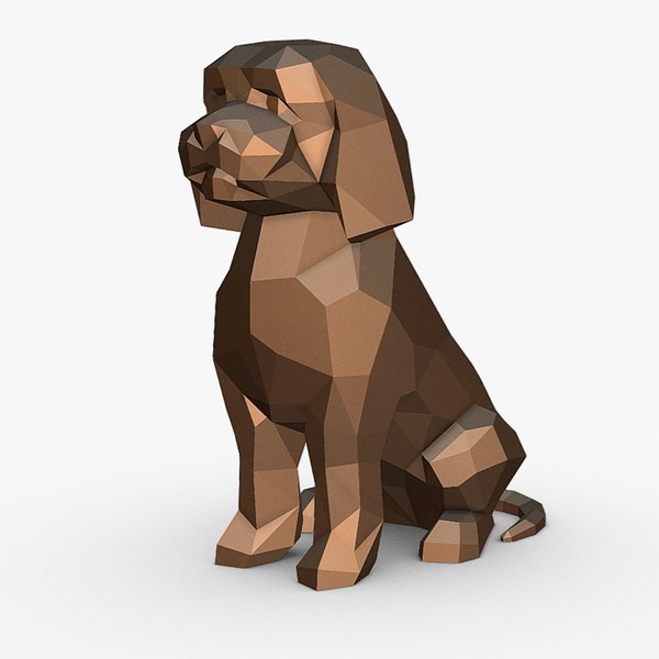 3D Goldendoodle Models | TurboSquid