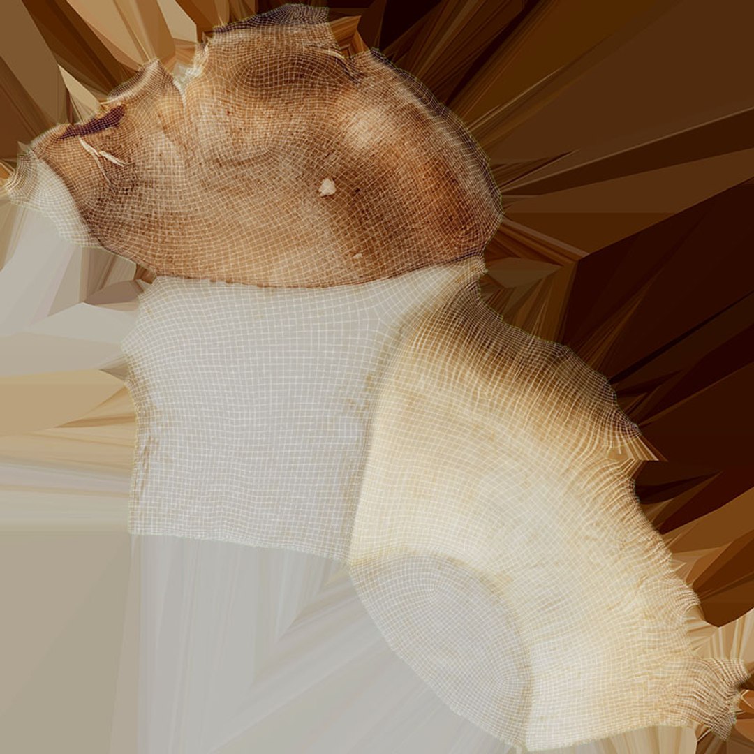 King Trumpet Collection 3D Model - TurboSquid 2288679