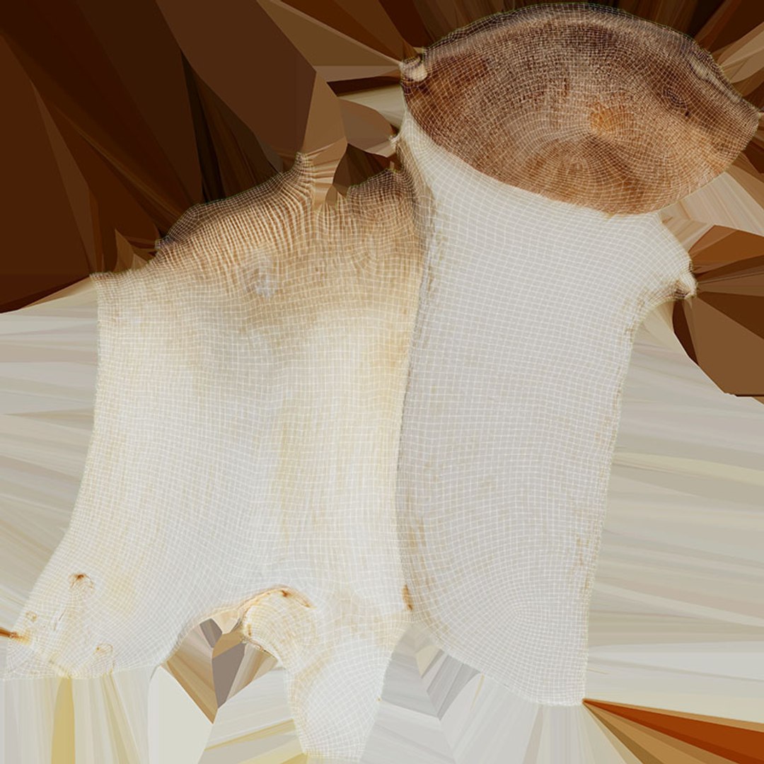 King Trumpet Collection 3D Model - TurboSquid 2288679