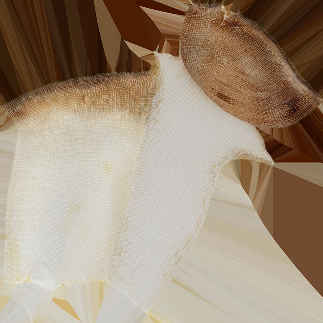 King Trumpet Collection 3D Model - TurboSquid 2288679