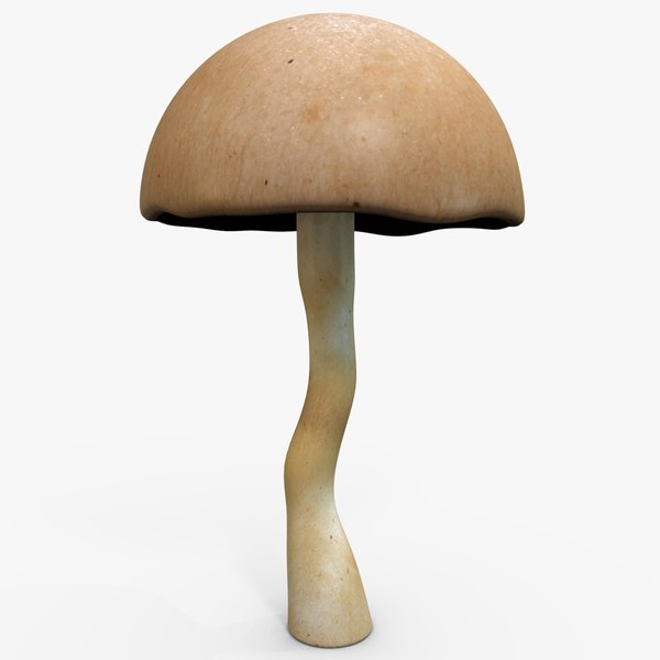 modelo 3d Seta - TurboSquid 642671