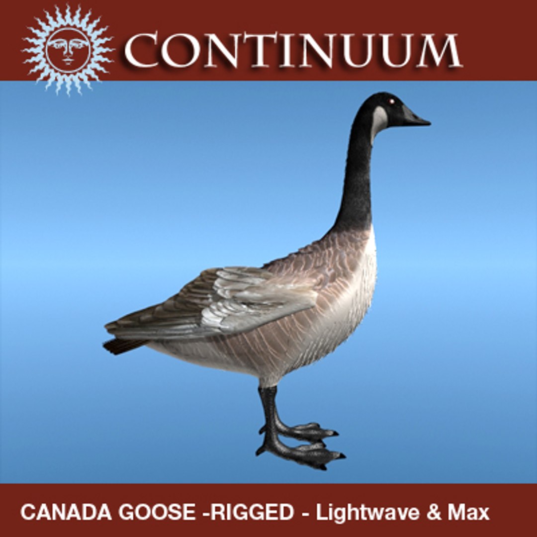 Max Canada Goose Rigged Lightwave