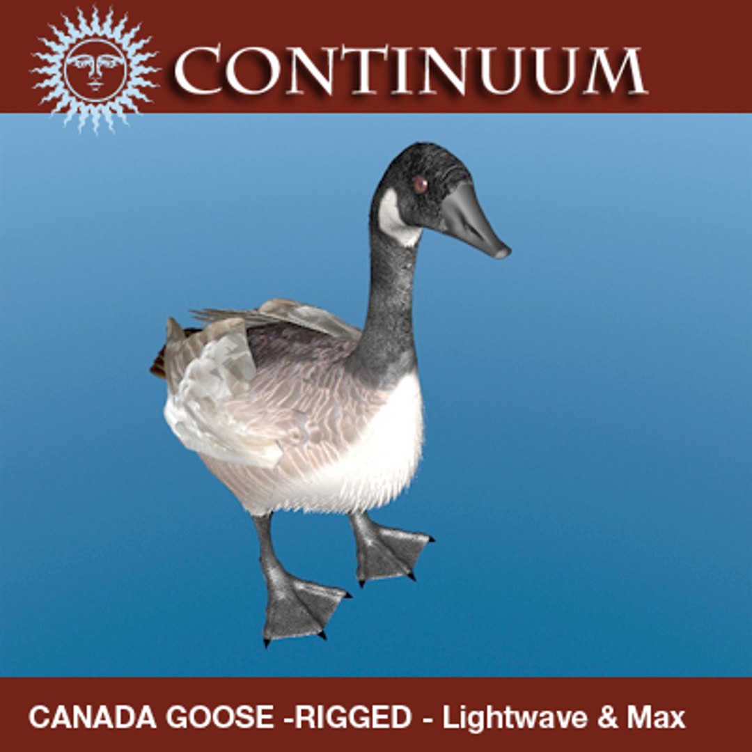 Max Canada Goose Rigged Lightwave