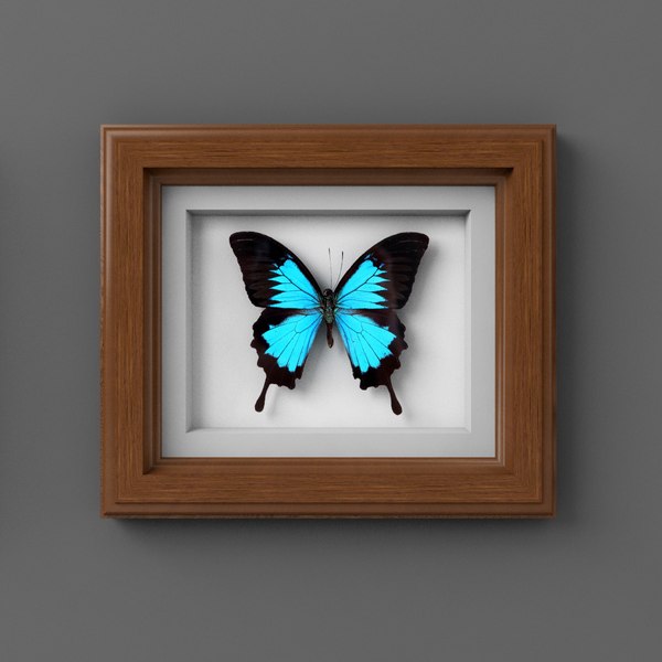 3D framed butterflies - TurboSquid 1356778