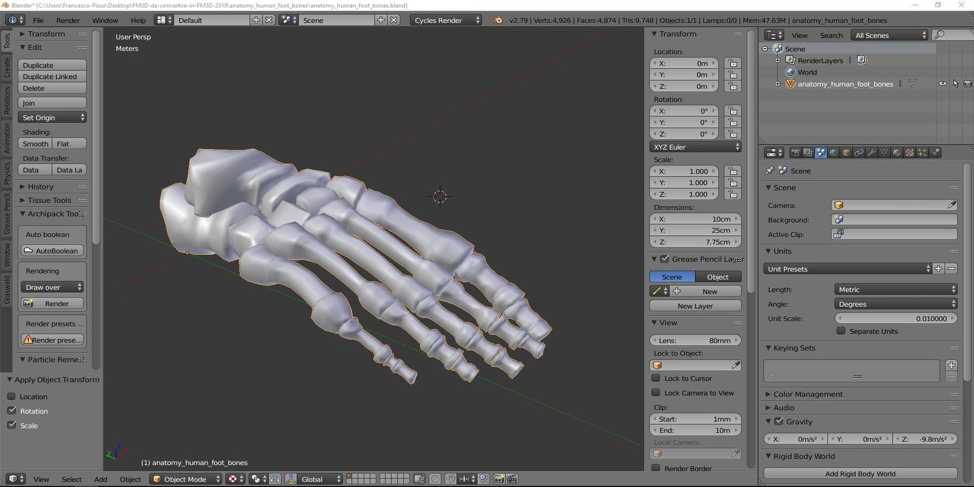 Human Foot Bones 3D Model - TurboSquid 1176036