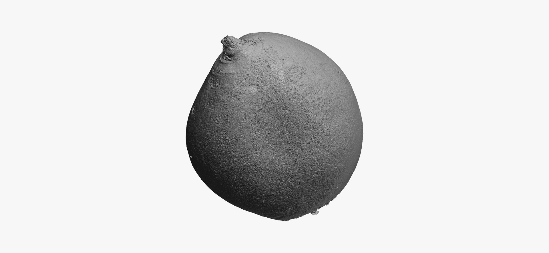 Beet root 01 raw 3D - TurboSquid 1638488