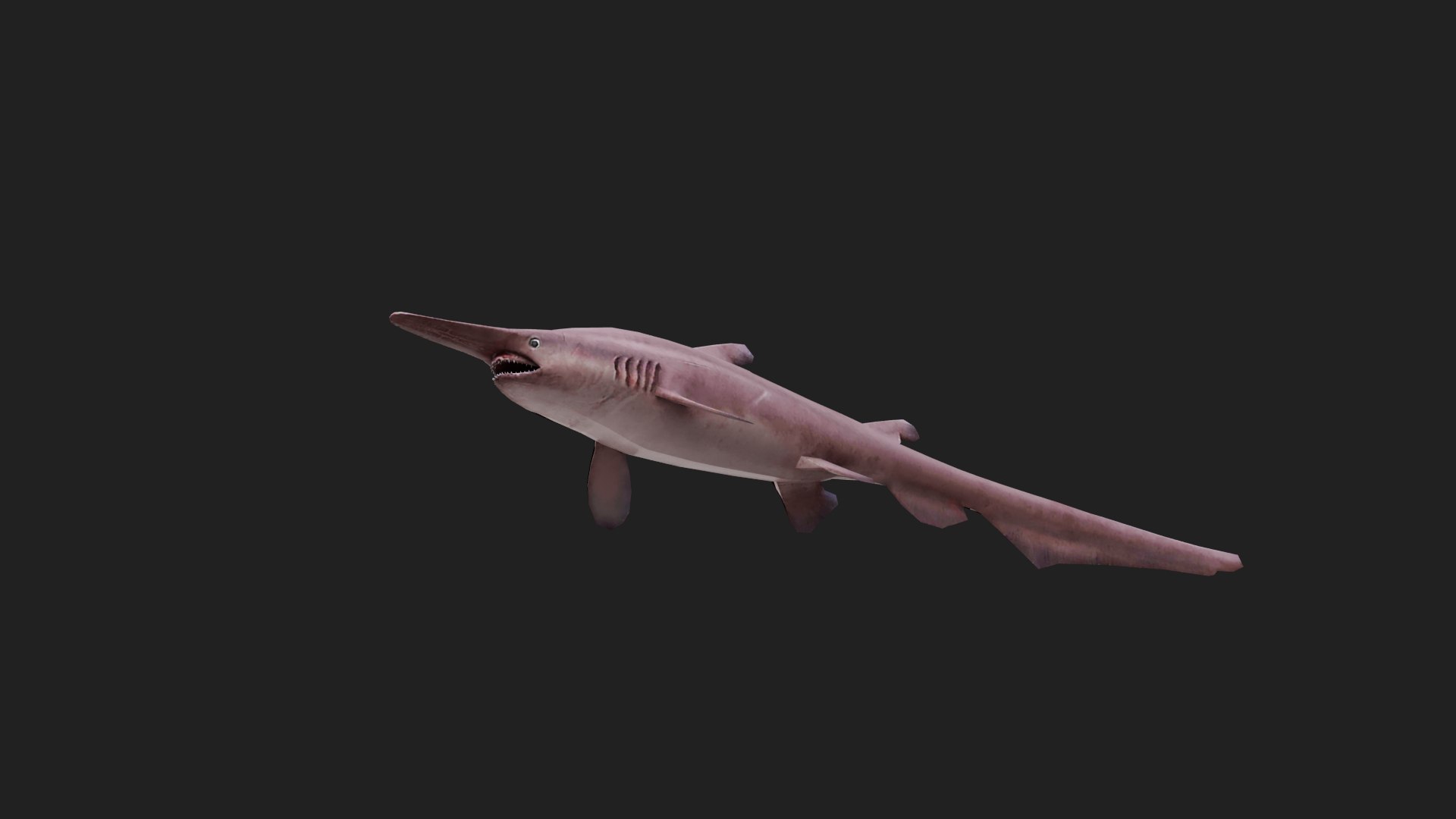 3D Model Shark - TurboSquid 2123091