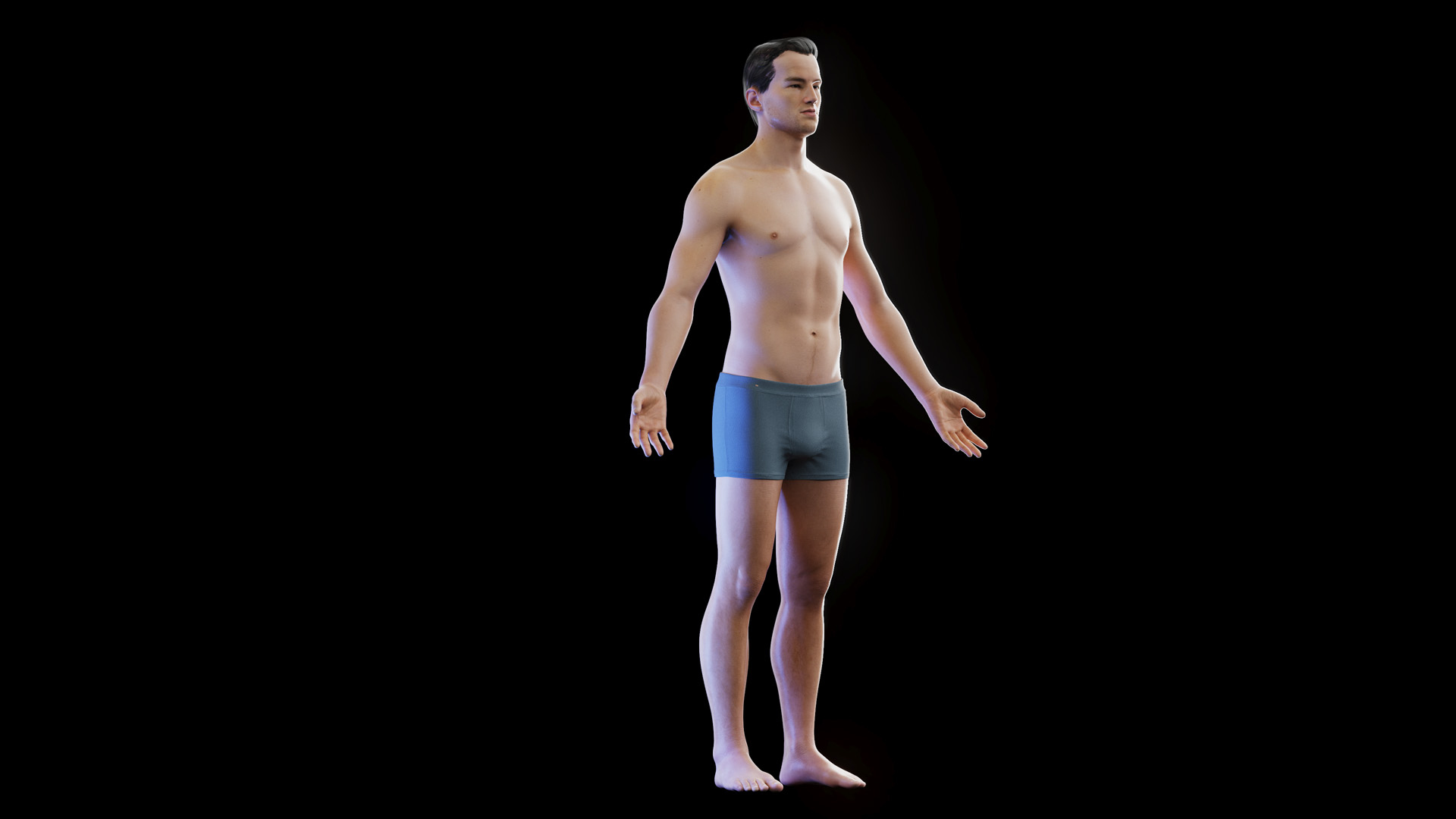 Human Anatomy Asian Male Body 3D - TurboSquid 2029901