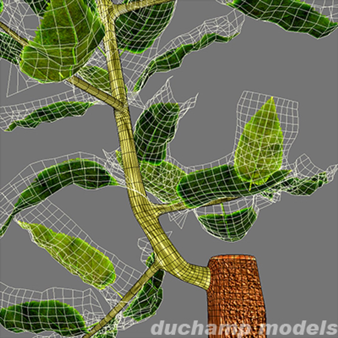 3dsmax Young Grafted Tree Trunk