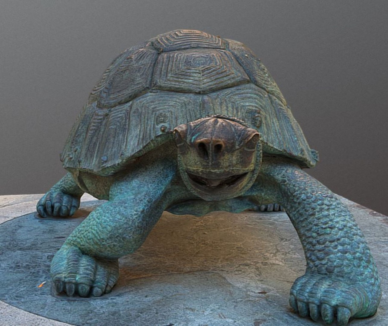 Turtle Animal Tortoise 3D Model - TurboSquid 1701199