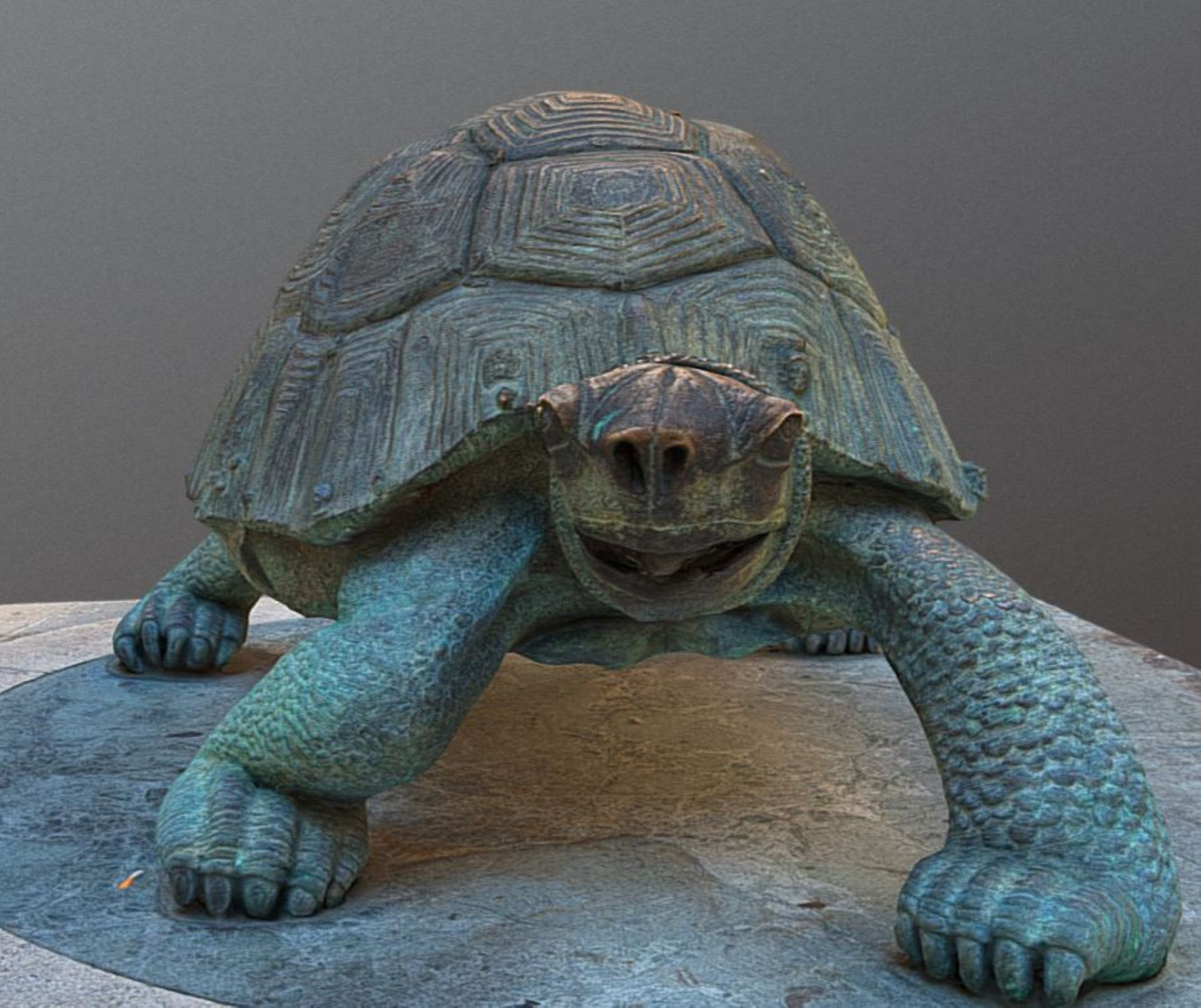 Turtle animal tortoise 3D model - TurboSquid 1701199