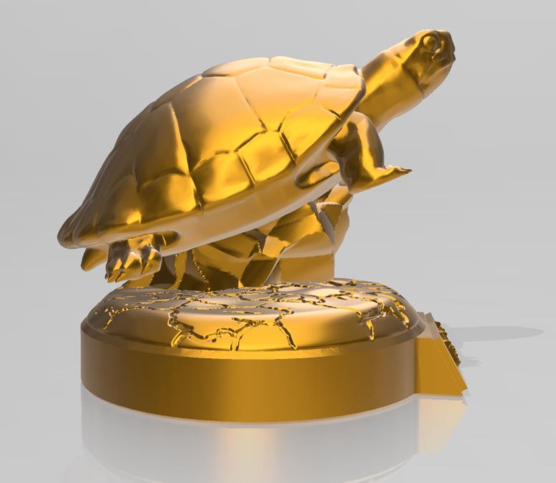 Turtle animal tortoise 3D model - TurboSquid 1701199