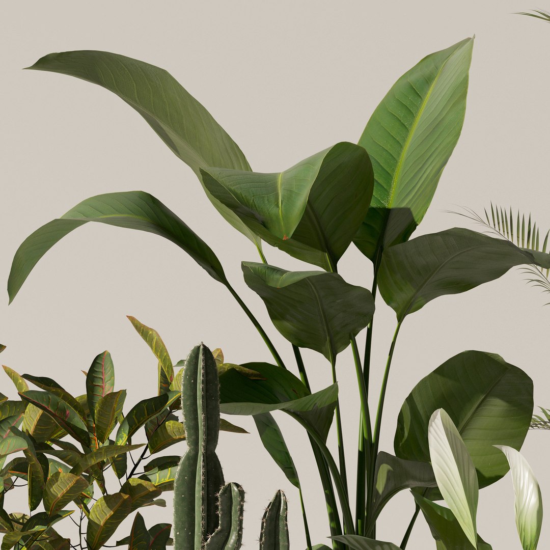 3D Model Plants Collection 134 - TurboSquid 1968351