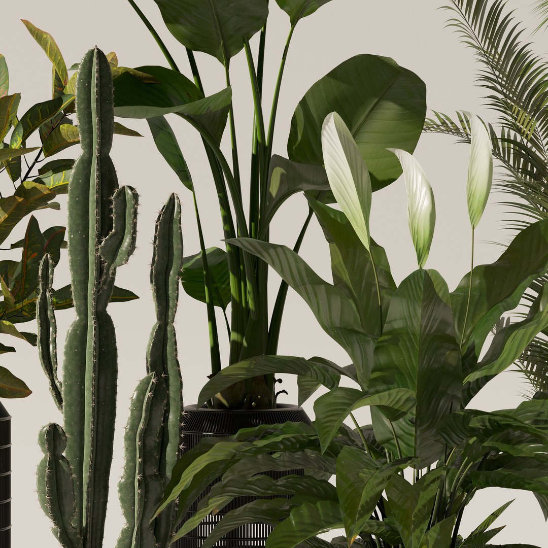 3D Model Plants Collection 134 - TurboSquid 1968351