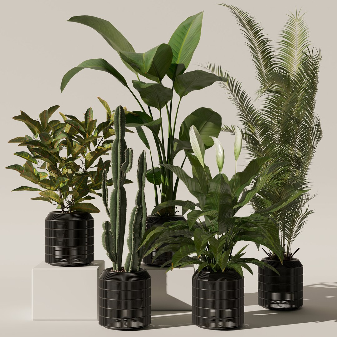 3D Model Plants Collection 134 - TurboSquid 1968351
