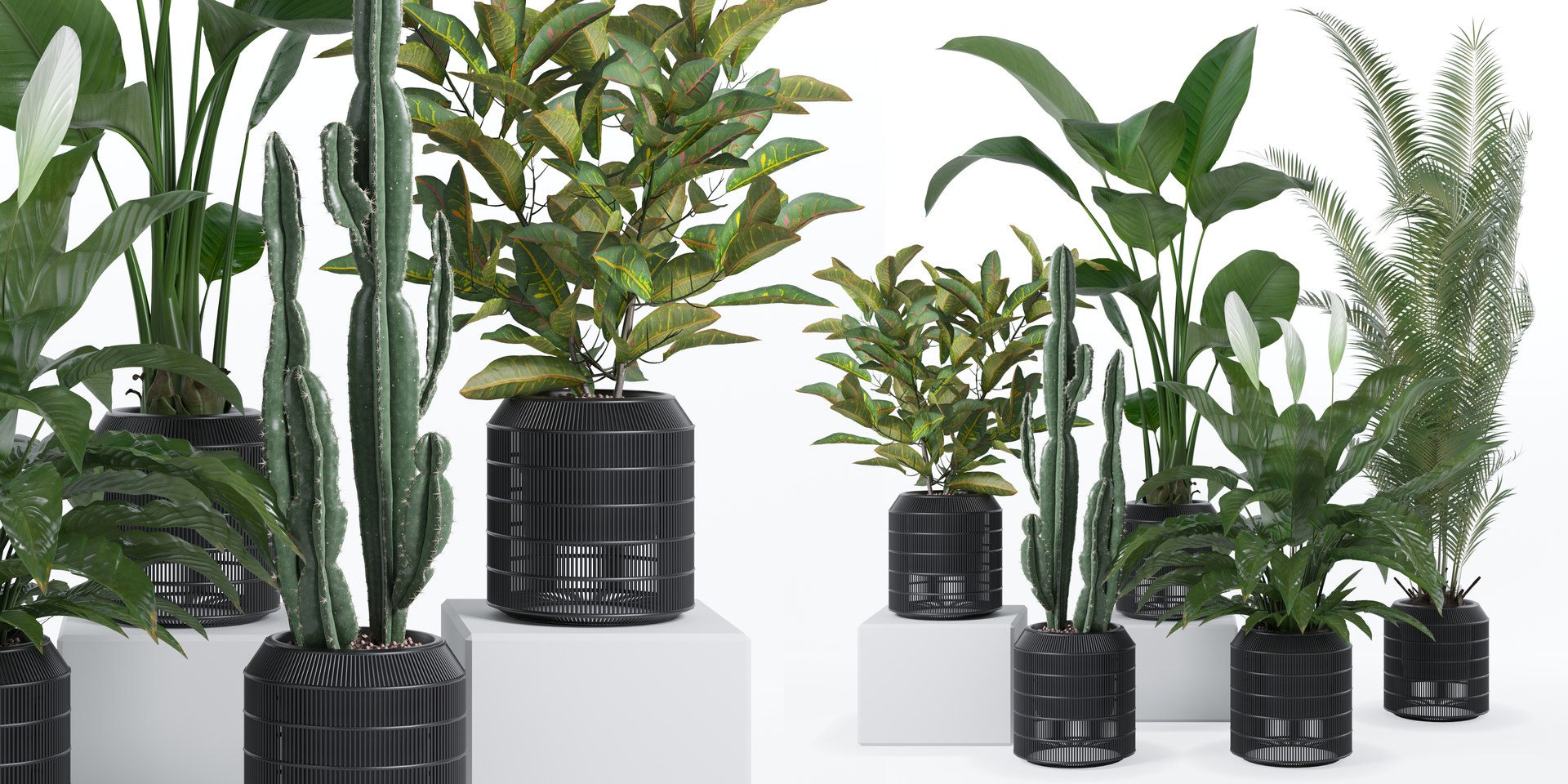 3D Model Plants Collection 134 - TurboSquid 1968351