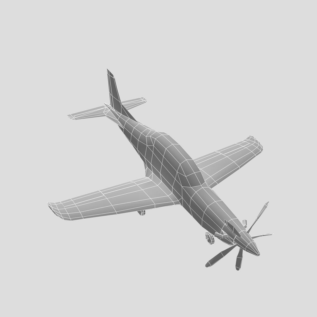 Pilatus Basic 3d Model