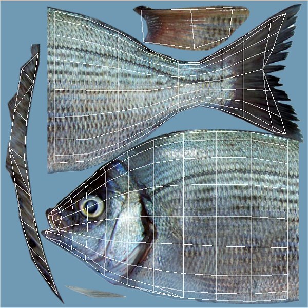 3d fish low-poly spondyliosoma