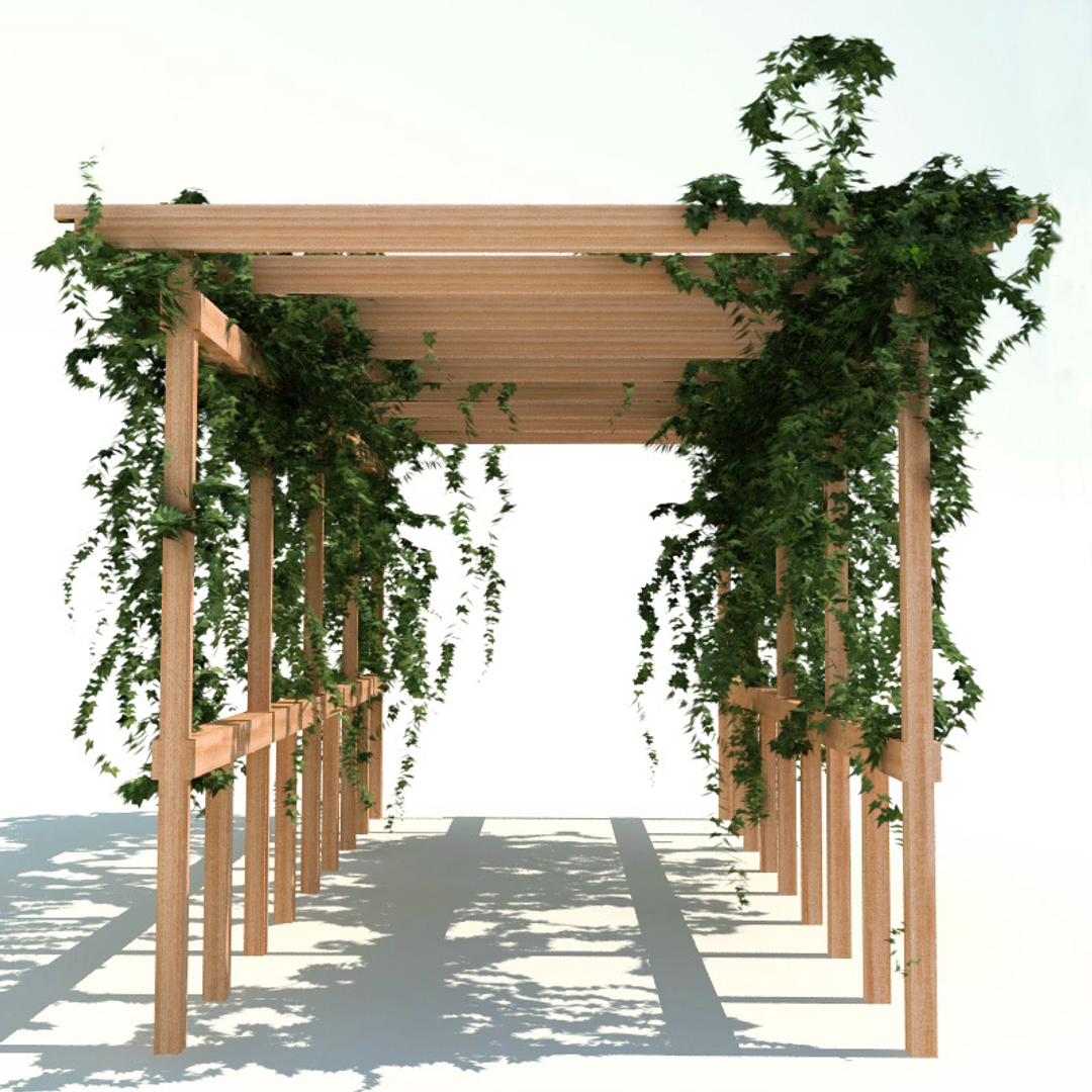 pergola path ivy 3d model