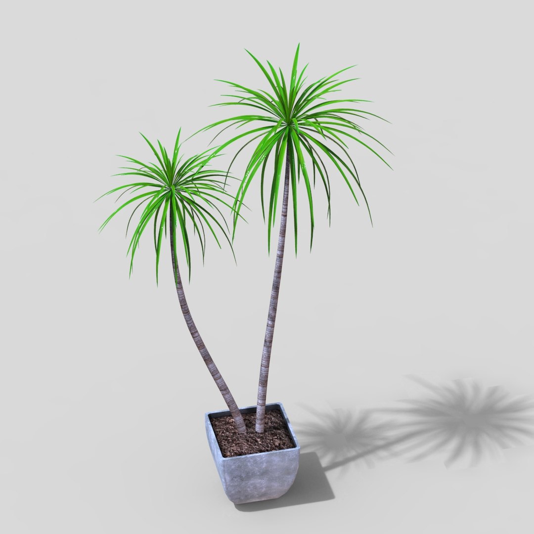 3D model tropical plant - TurboSquid 1248816