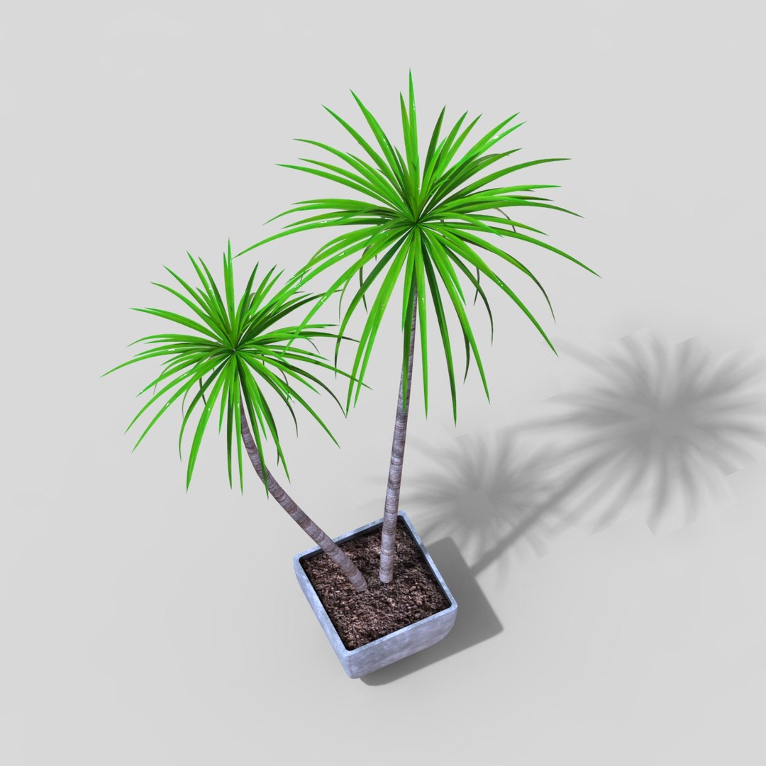 3D model tropical plant - TurboSquid 1248816
