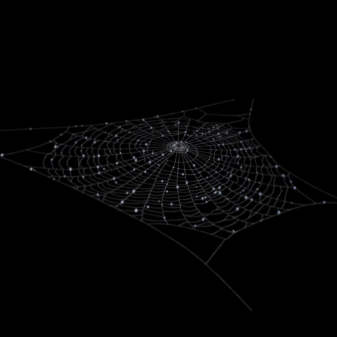 Spiderweb 3d Model