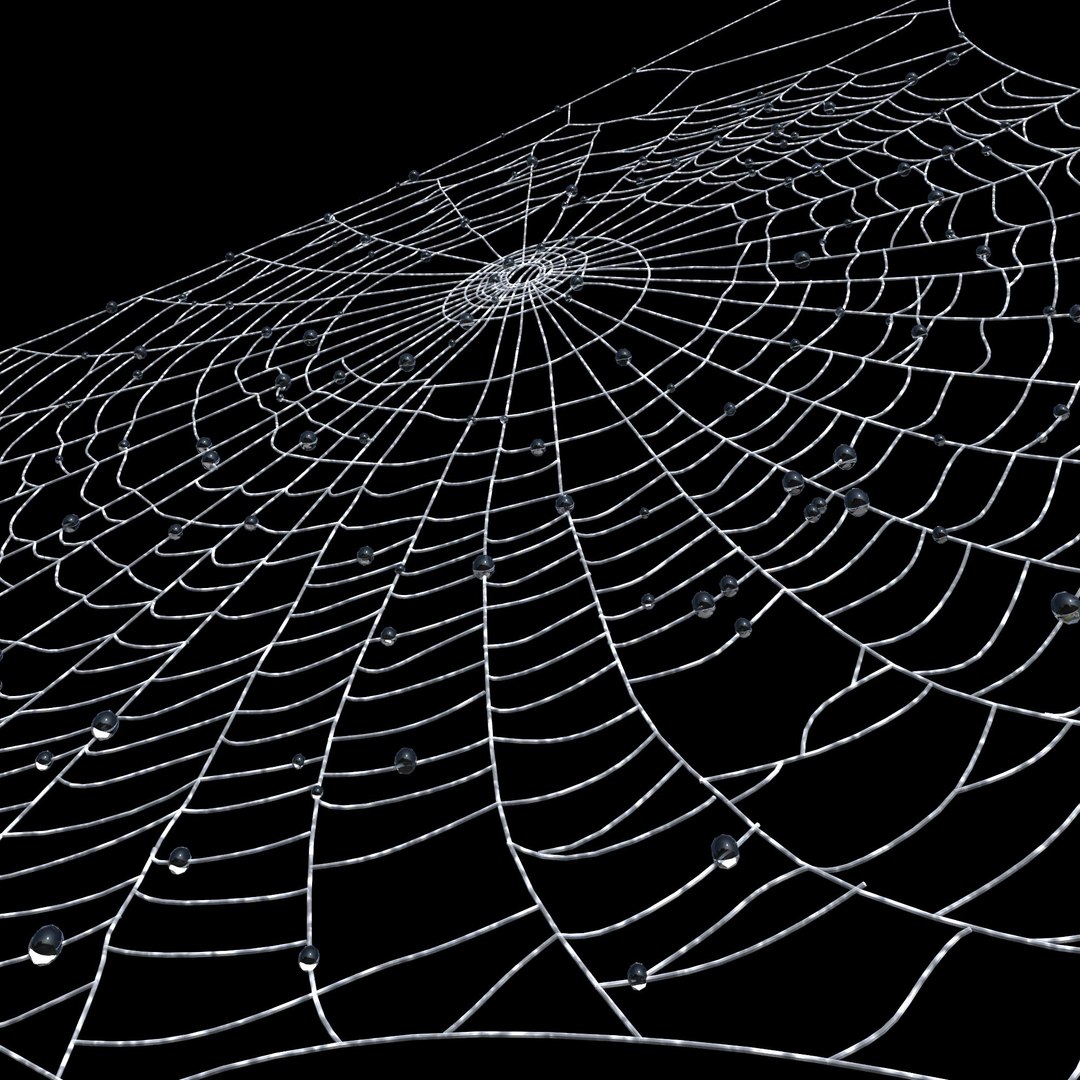 Spiderweb 3d Model