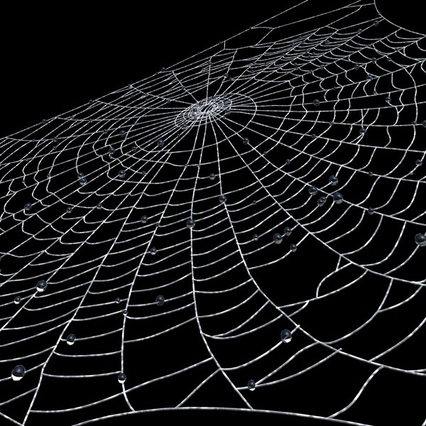 spiderweb 3d model