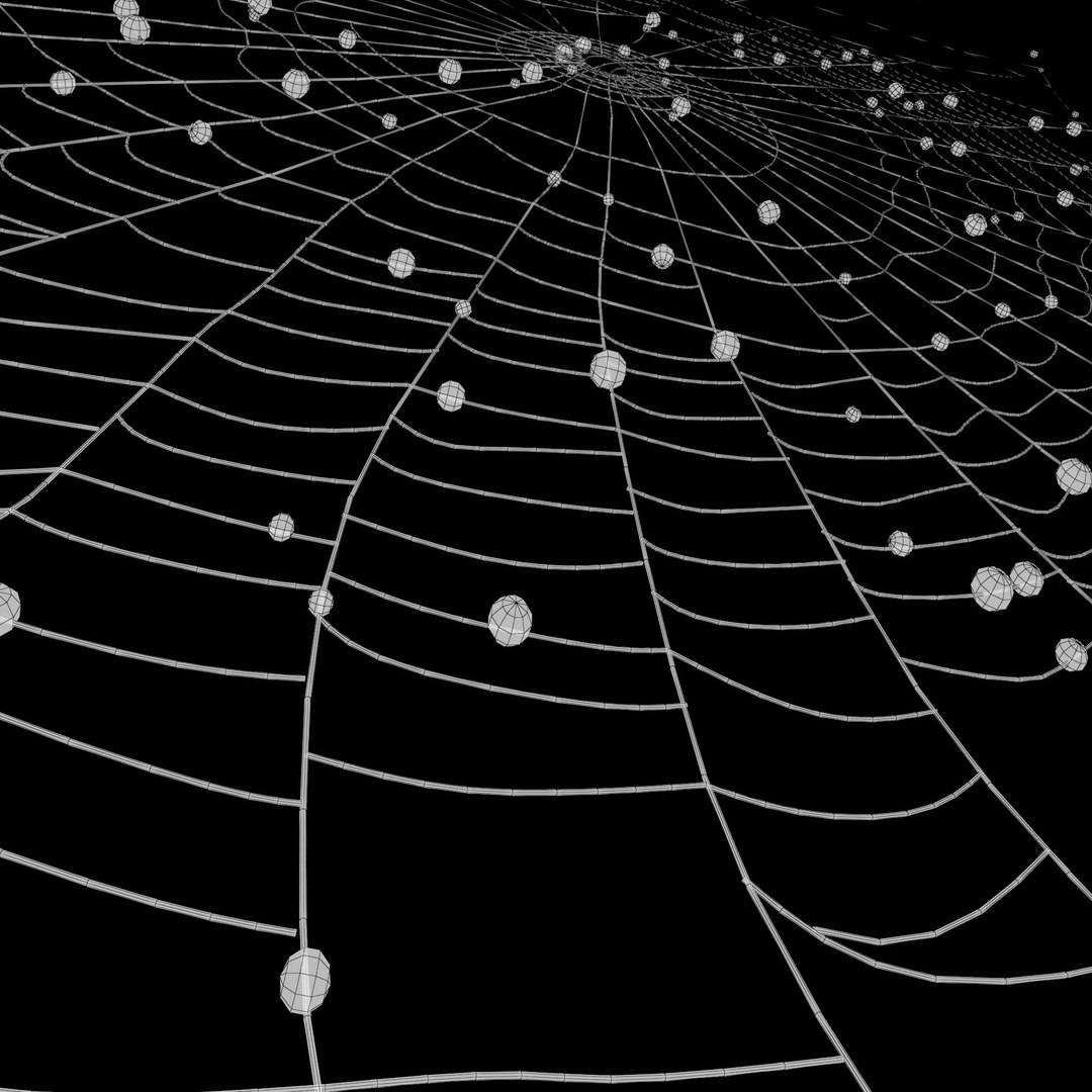 Spiderweb 3d Model