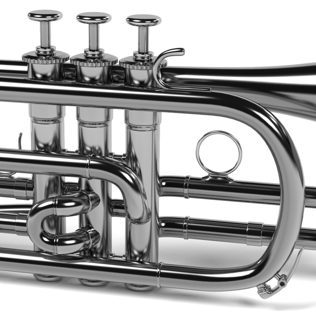 3d Cornet Model