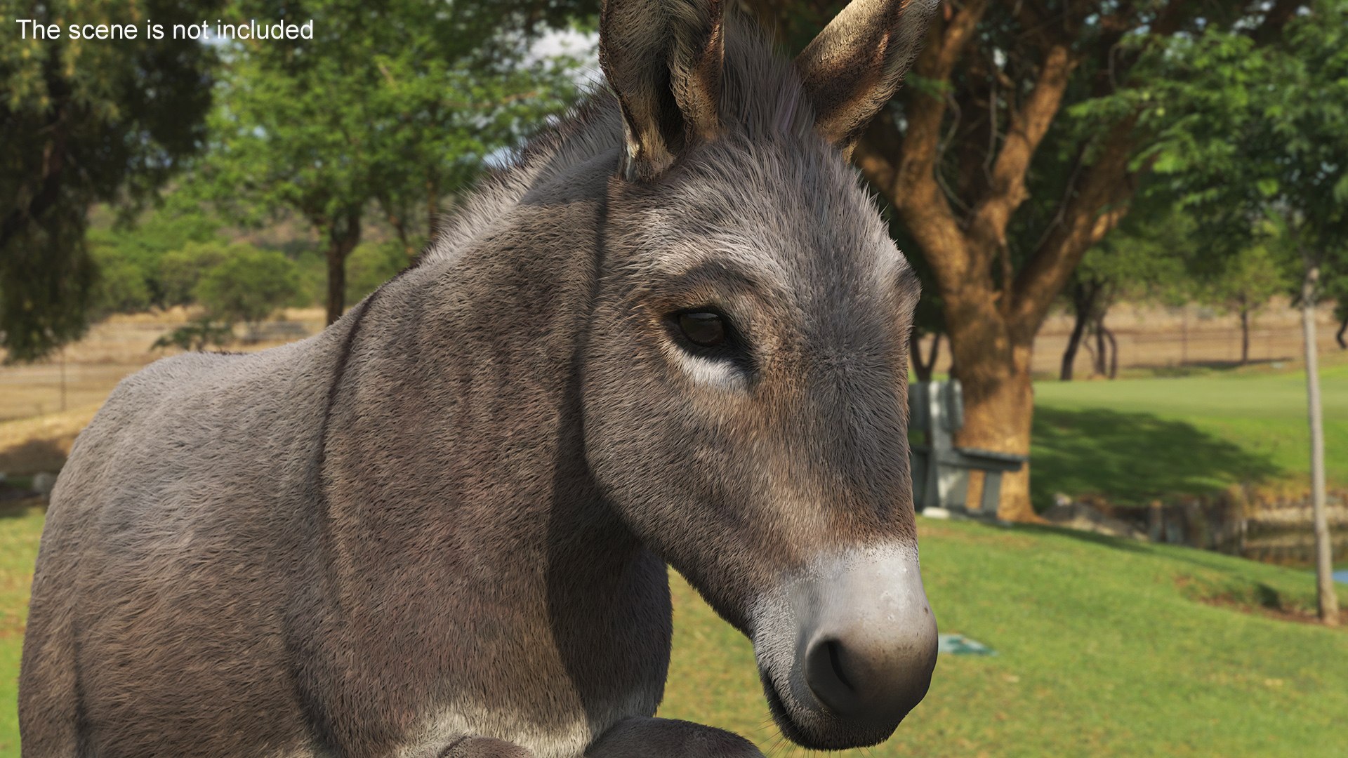 Jumping Farm Donkey Fur Model - TurboSquid 2446410