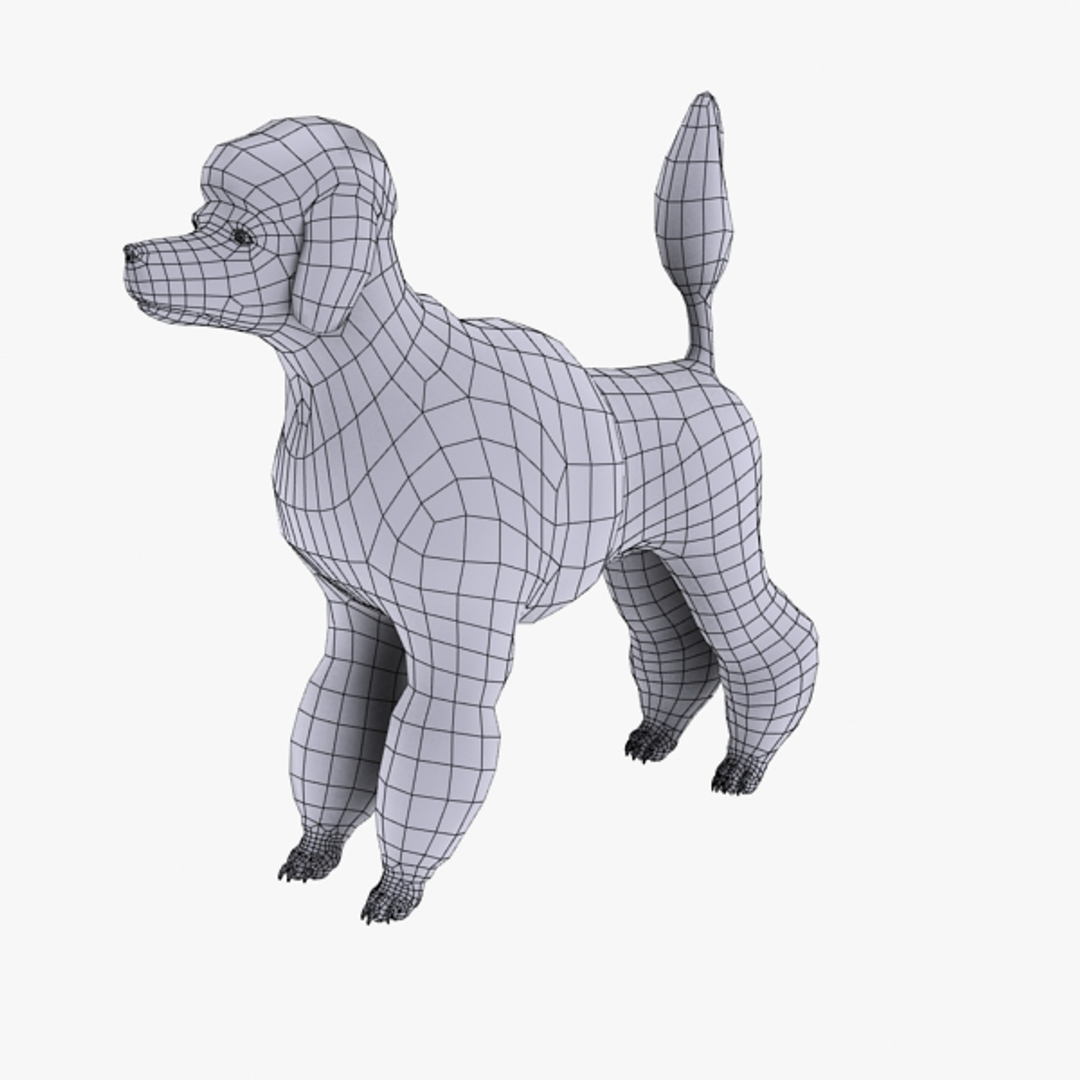 3D poodle - TurboSquid 1335335
