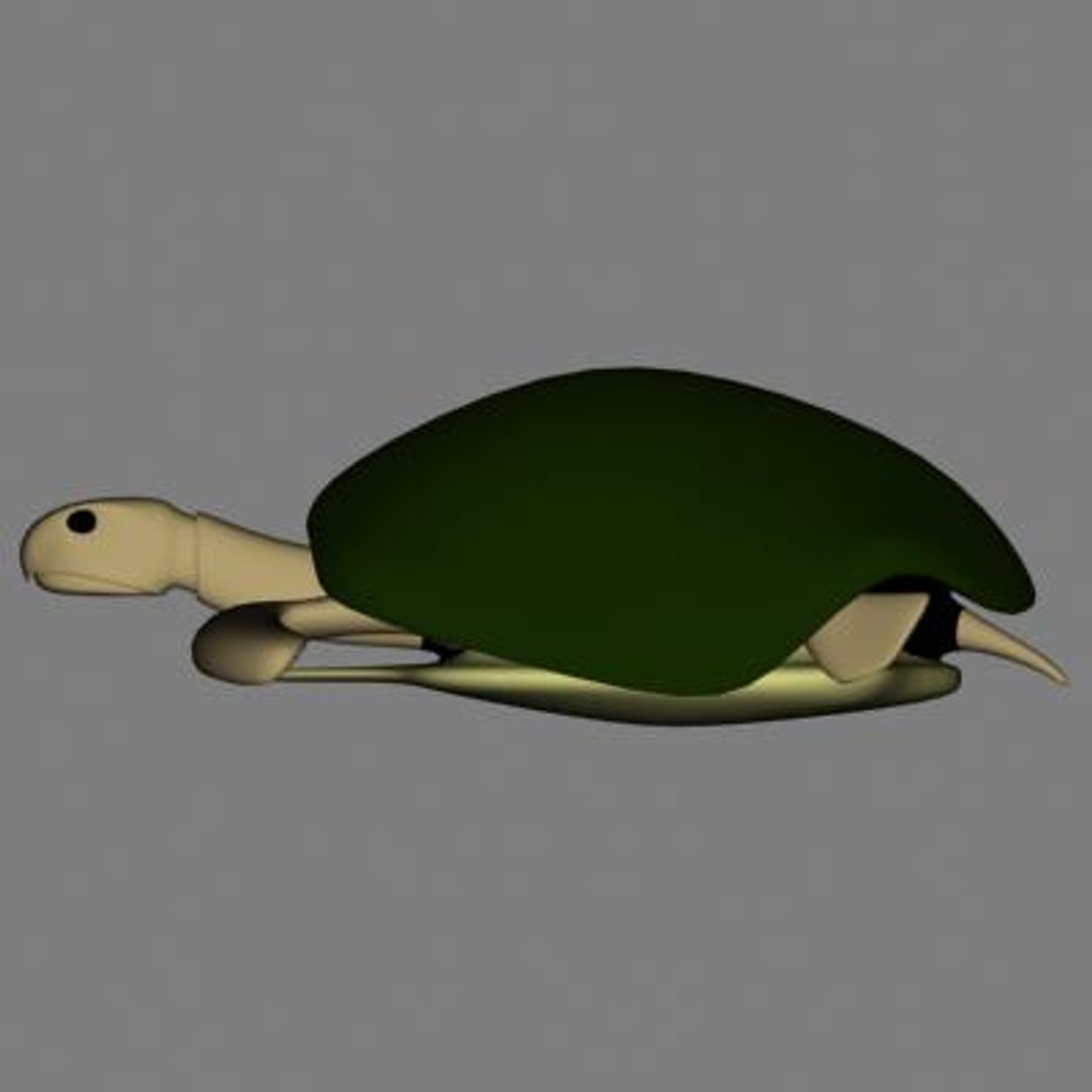 turtle dxf
