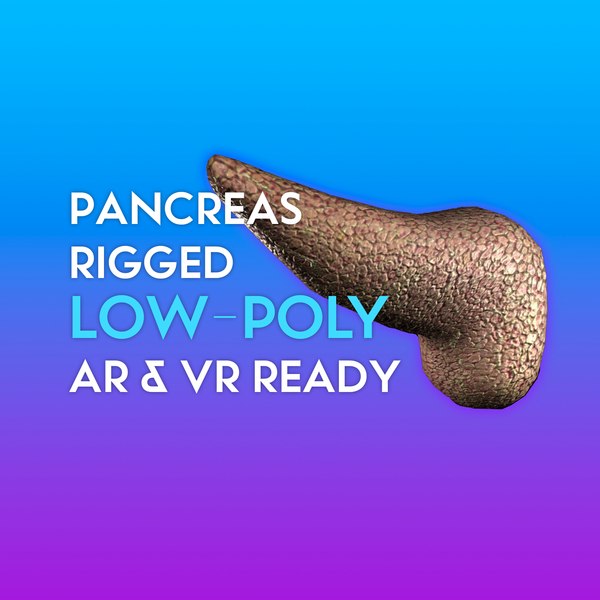 Pancreas 3D Models for Download | TurboSquid