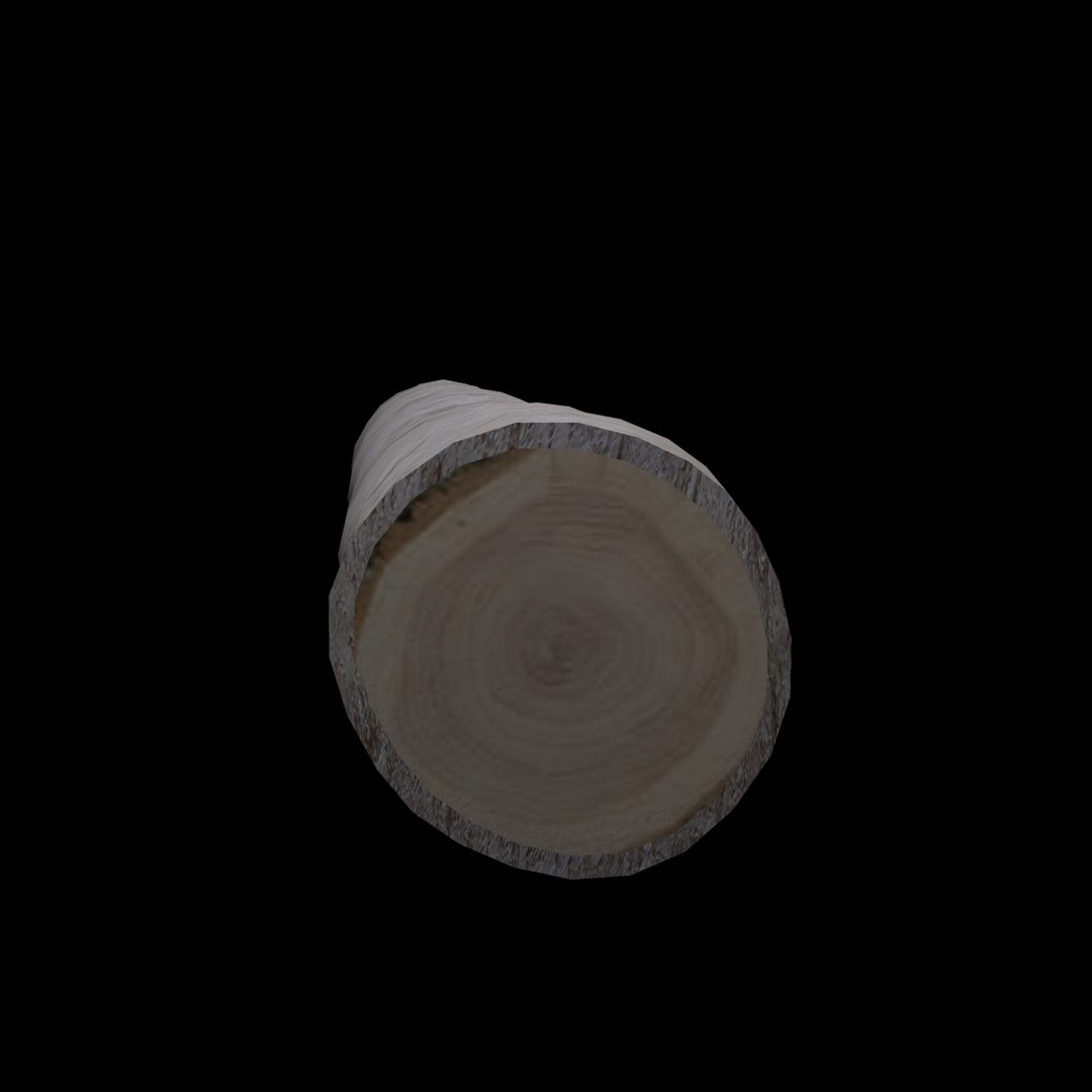 3d model ash log