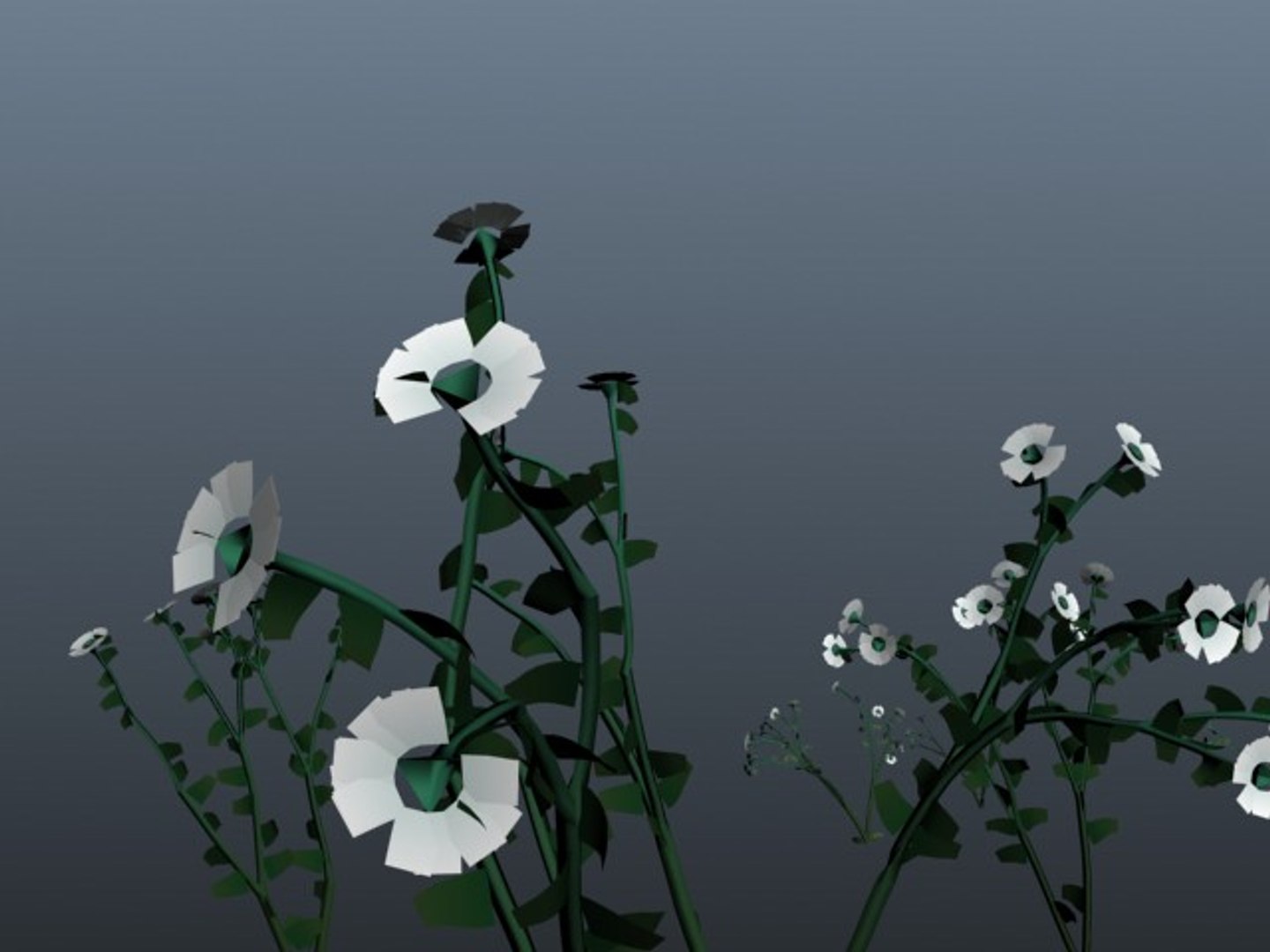 3ds Max Set Daisy Flowers