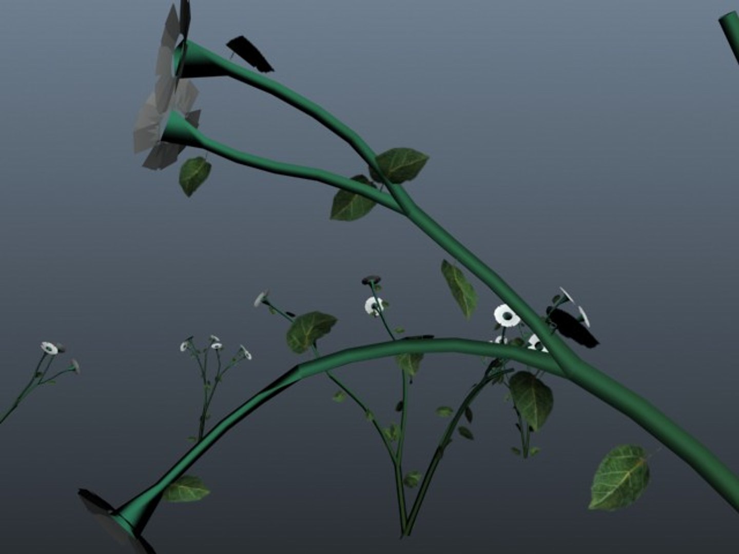 3ds Max Set Daisy Flowers