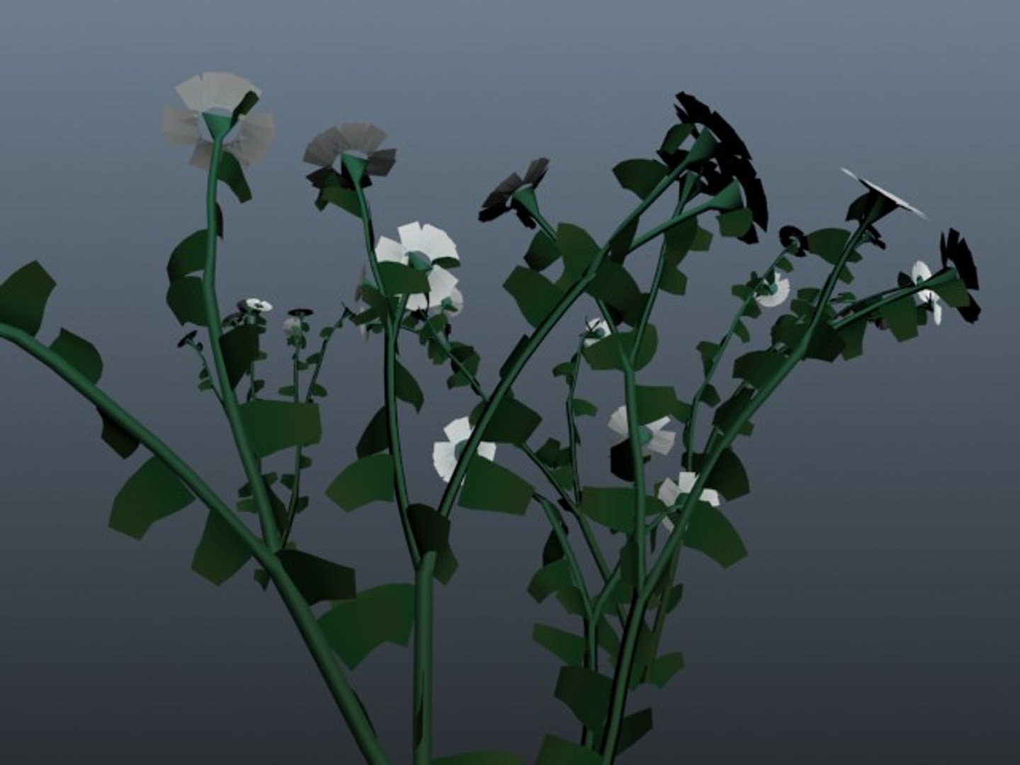 3ds Max Set Daisy Flowers