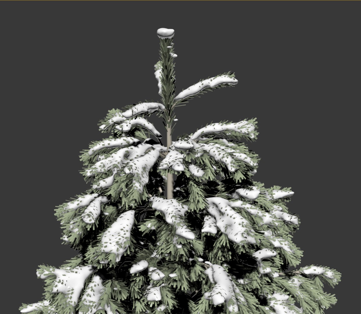 3D model young spruce tree seasons - TurboSquid 1642826