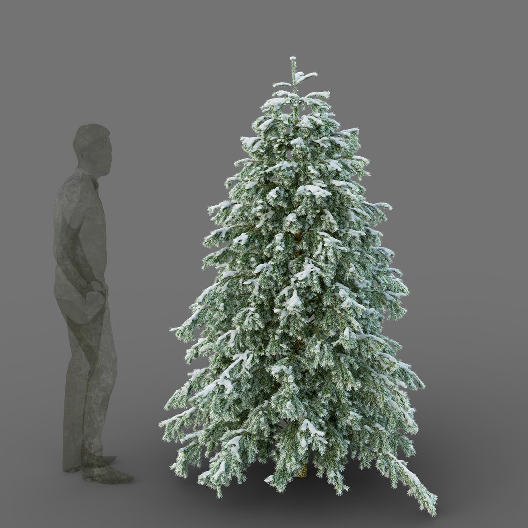 3D model young spruce tree seasons - TurboSquid 1642826