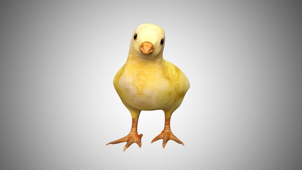 Chicken Blender Models for Download | TurboSquid
