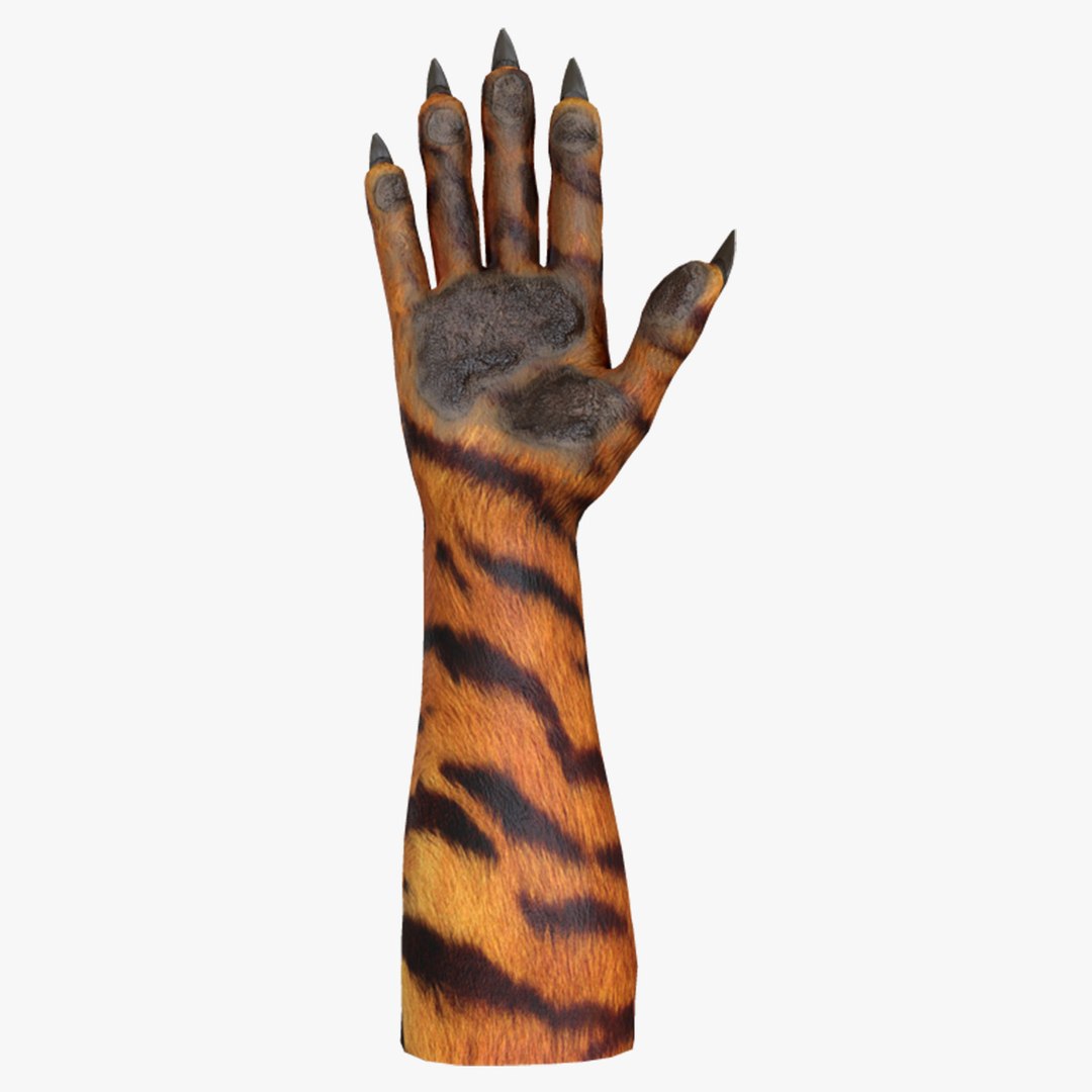 3D HND-024 Rigged Tiger Hand - TurboSquid 2154122