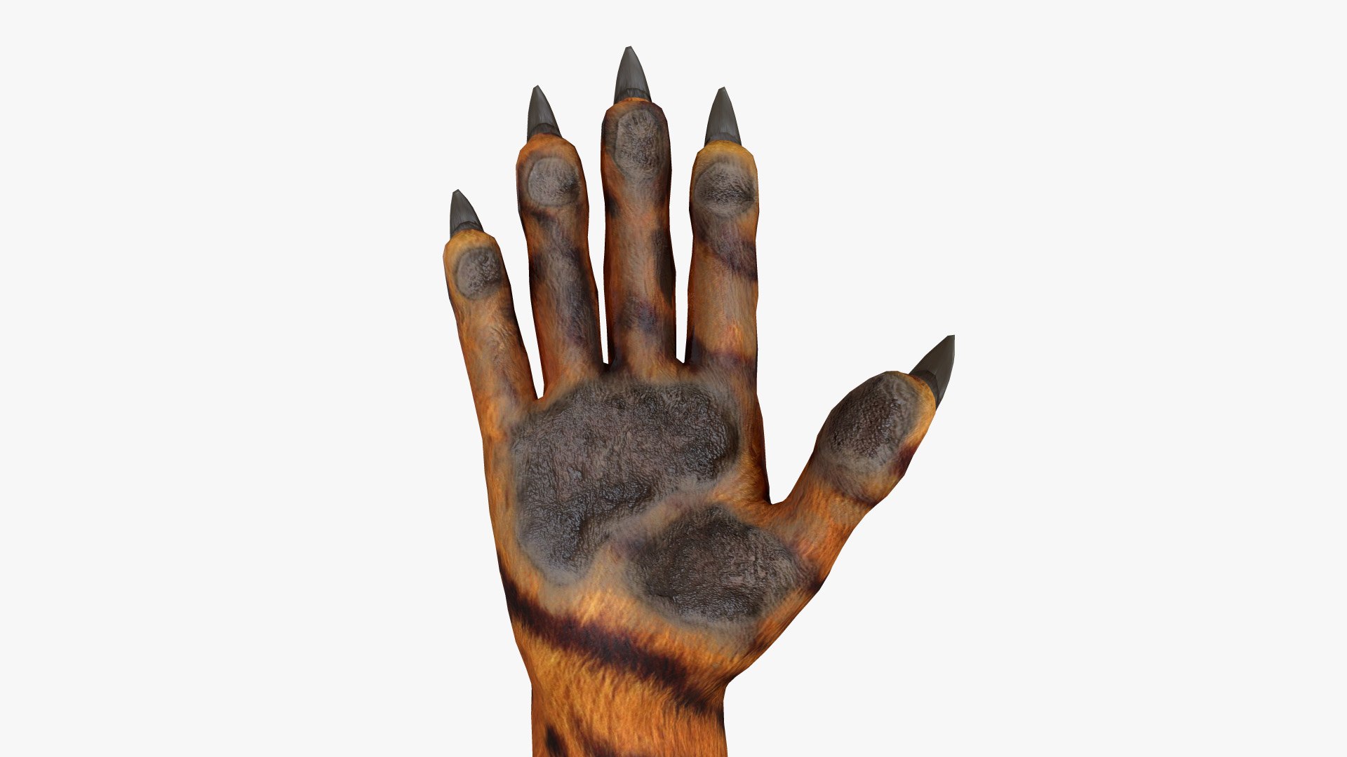3D HND-024 Rigged Tiger Hand - TurboSquid 2154122
