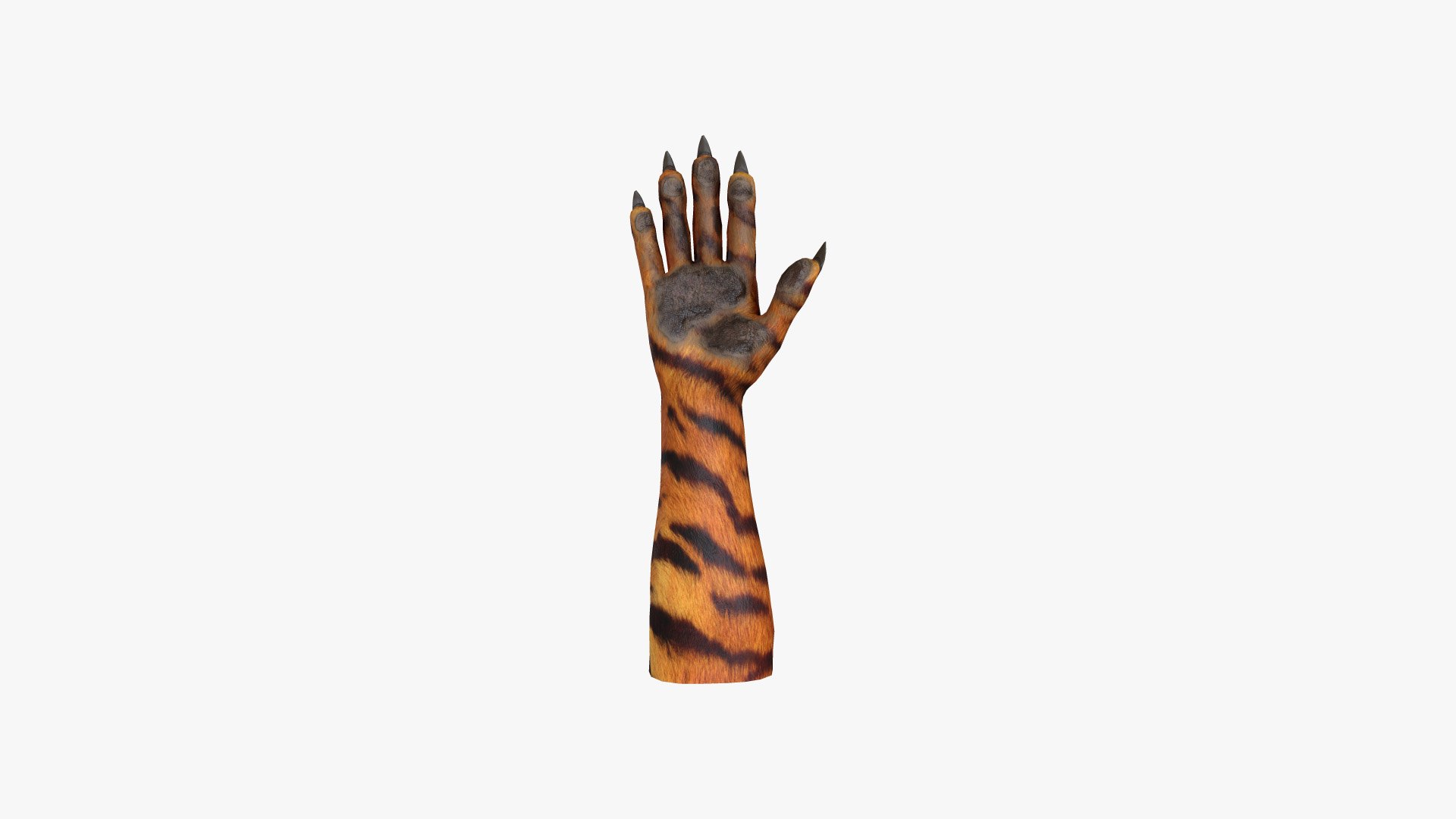 3D HND-024 Rigged Tiger Hand - TurboSquid 2154122