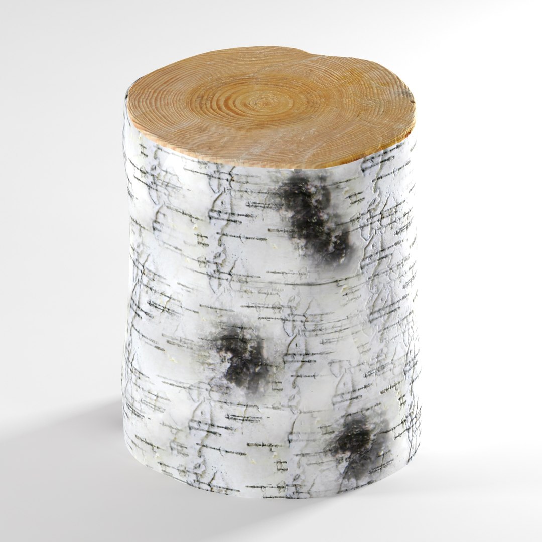 3d Birch Stump Model