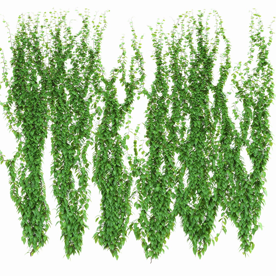 6 Leaf Walls 3d Max