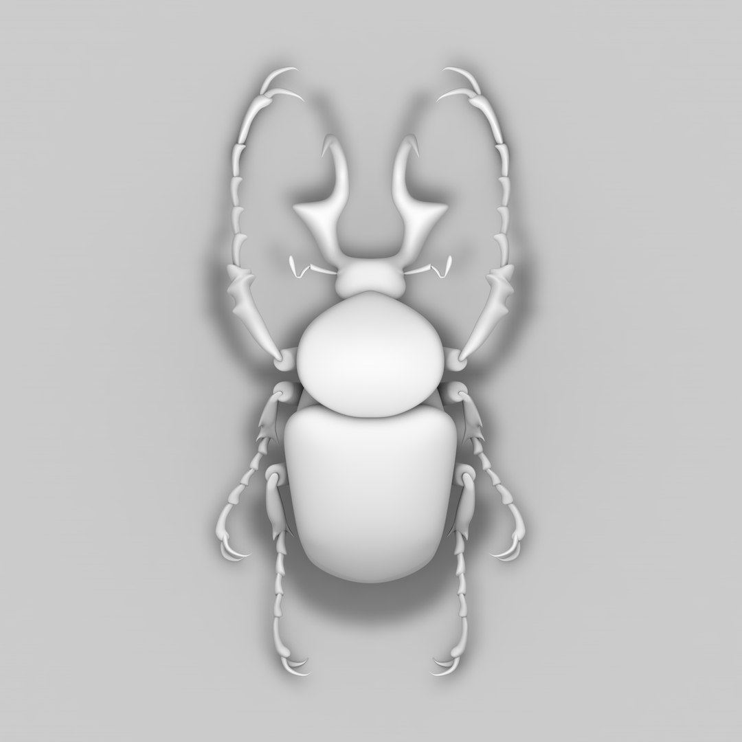 3D Beetle Model - TurboSquid 1226214