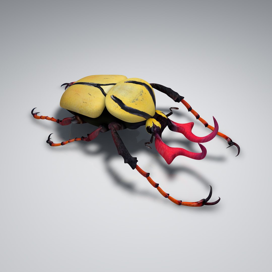 3D Beetle Model - TurboSquid 1226214